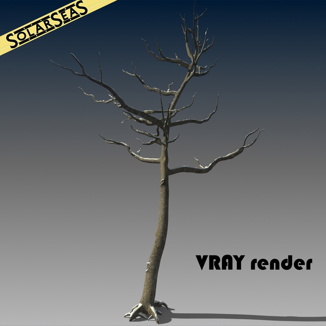 3ds max scanline winter deciduous tree