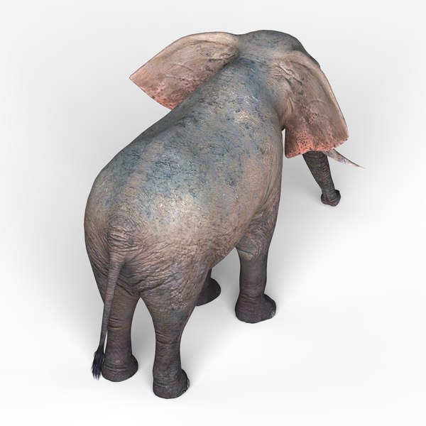 3D wild animal model - TurboSquid 1611370