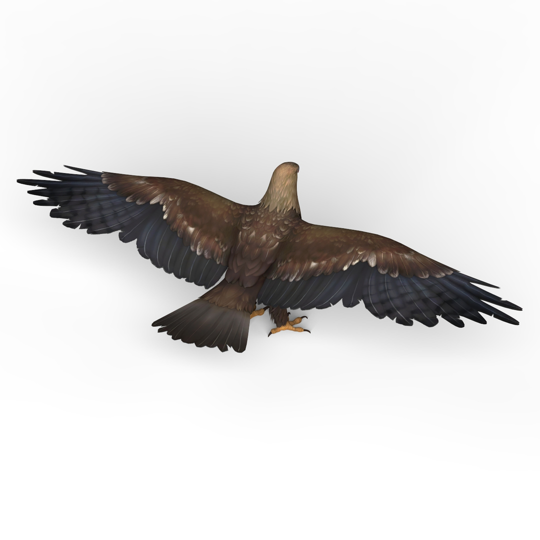 3D wild animal model - TurboSquid 1611370