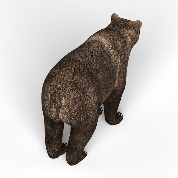 3D wild animal model - TurboSquid 1611370
