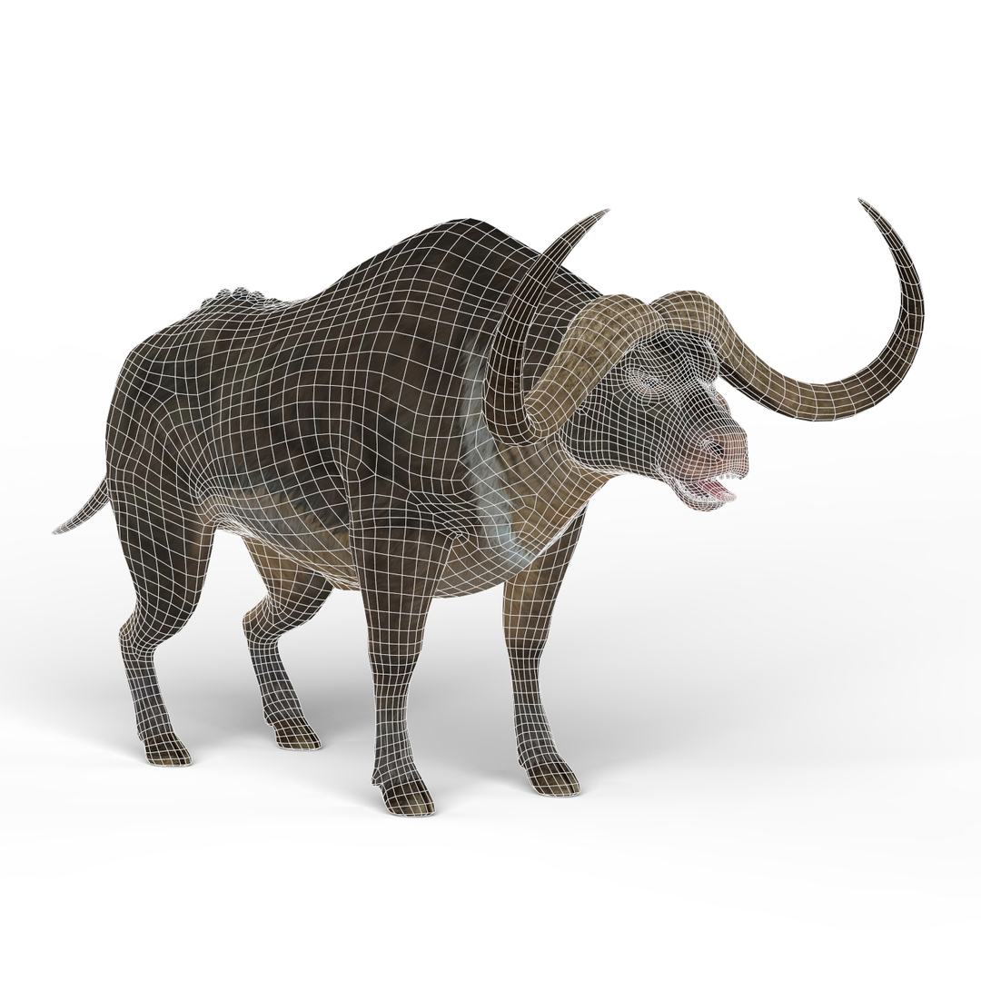 3D wild animal model - TurboSquid 1611370