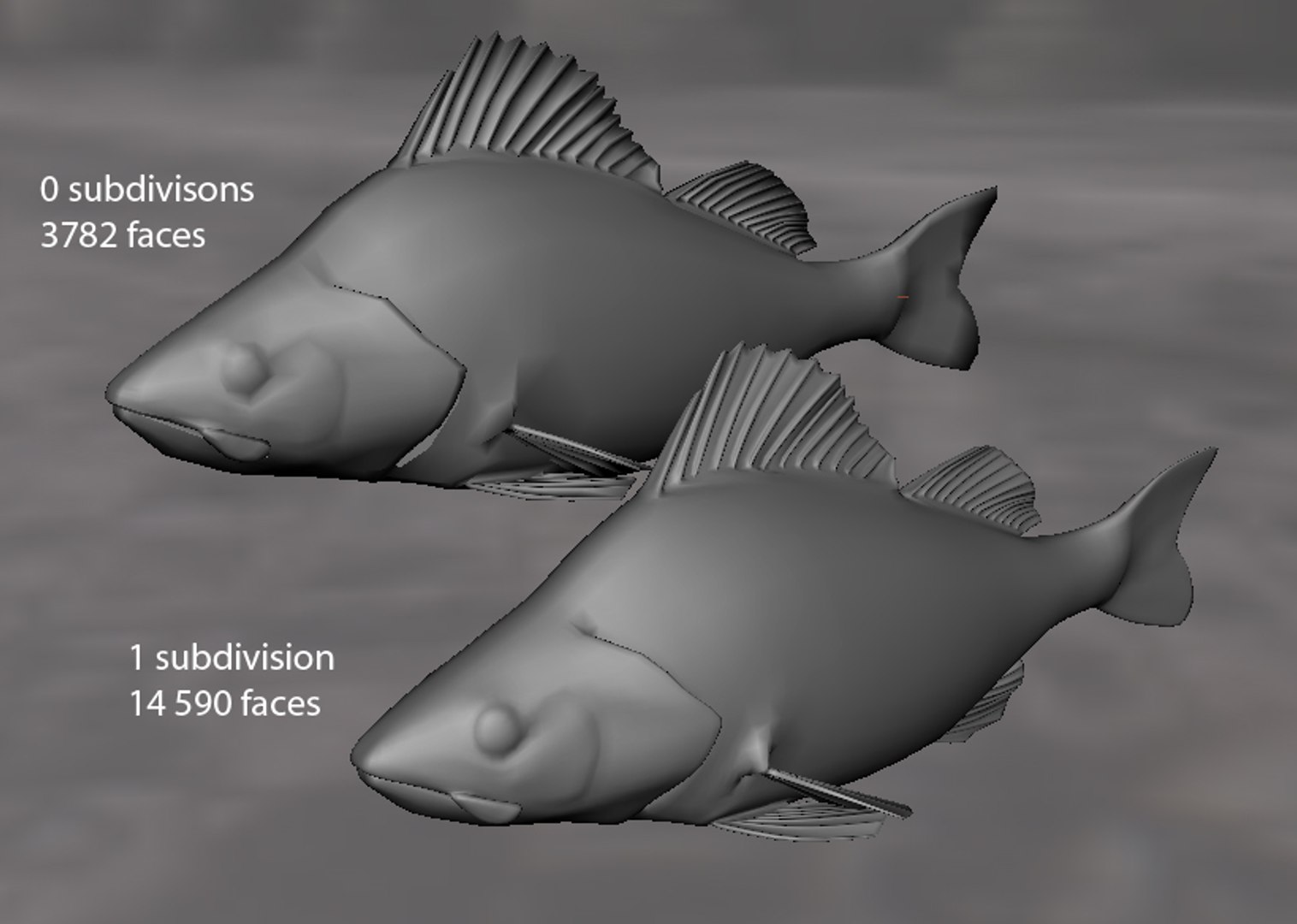 Fishes Herring Catfish Perch Ma