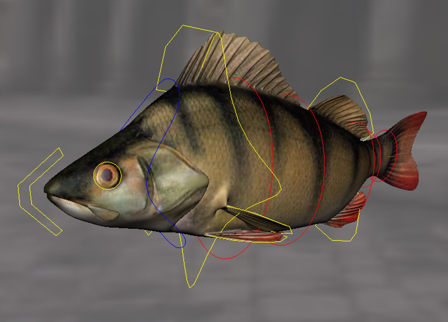 Fishes Herring Catfish Perch Ma