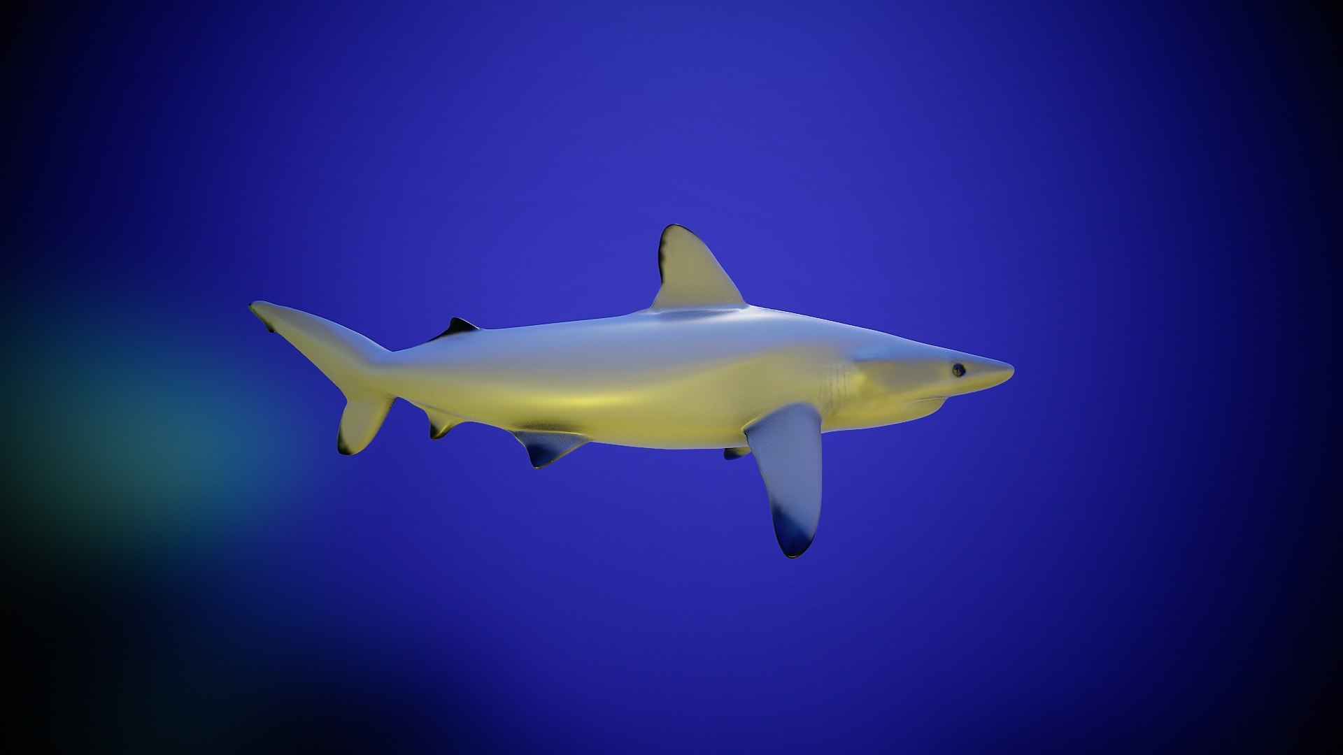 Fish PBR Animation Rigging 3D - TurboSquid 2352652