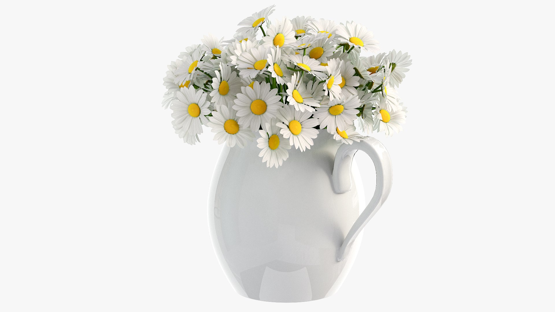 Chamomile Model - TurboSquid 1601012