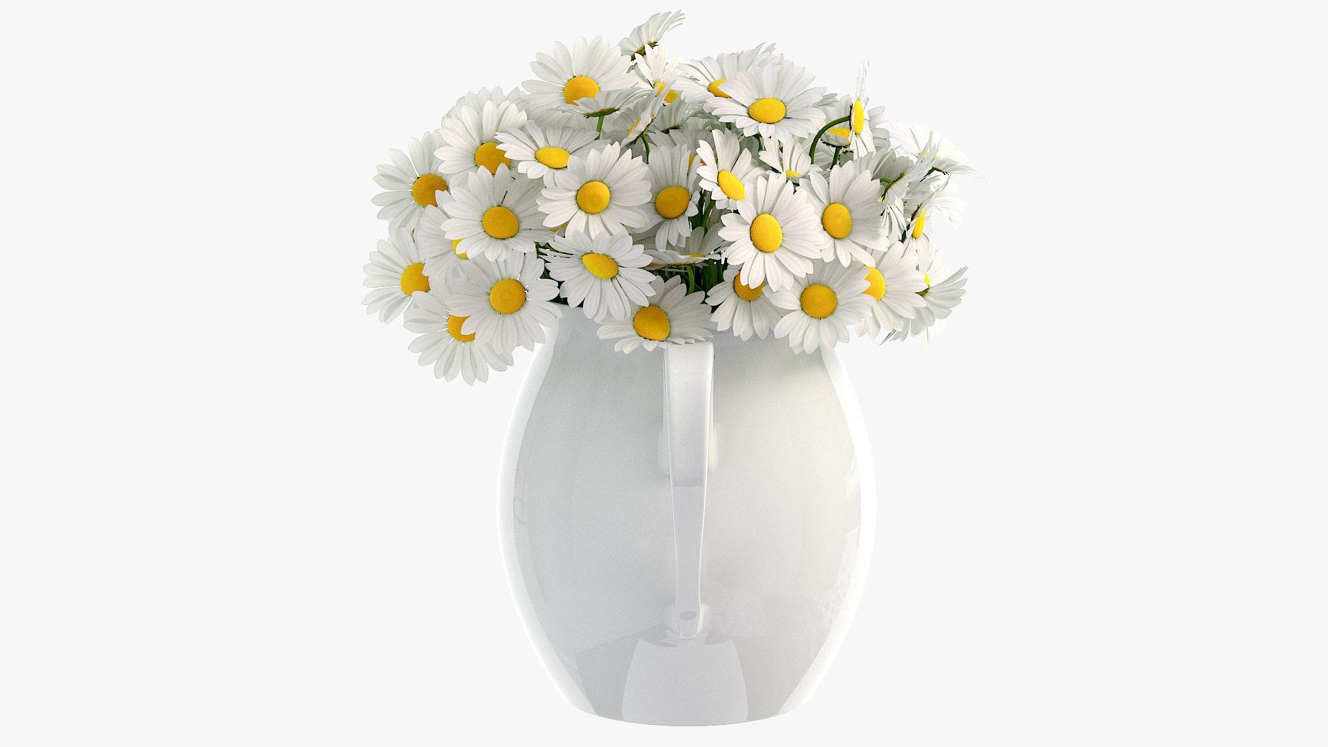 Chamomile Model - TurboSquid 1601012