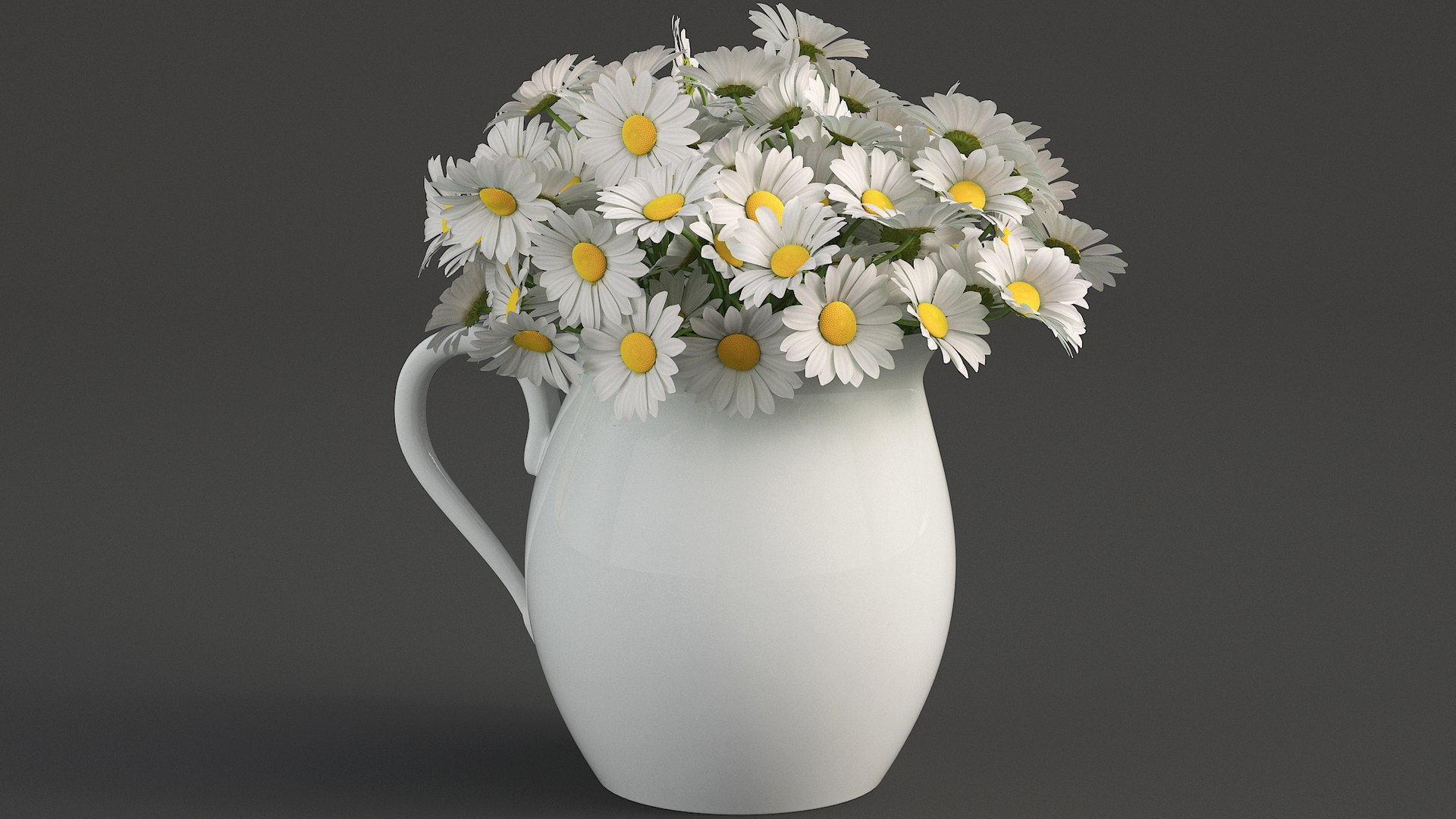 Chamomile Model - TurboSquid 1601012