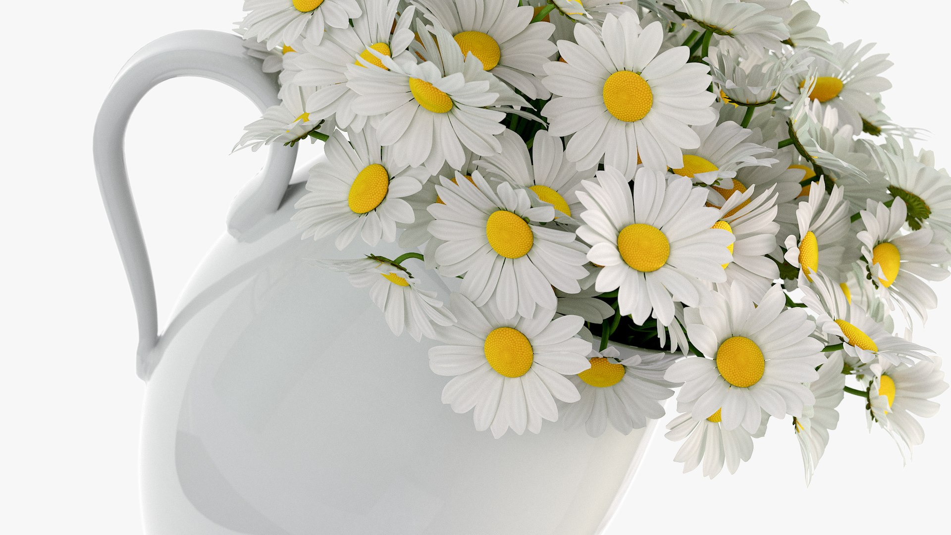 Chamomile Model - TurboSquid 1601012