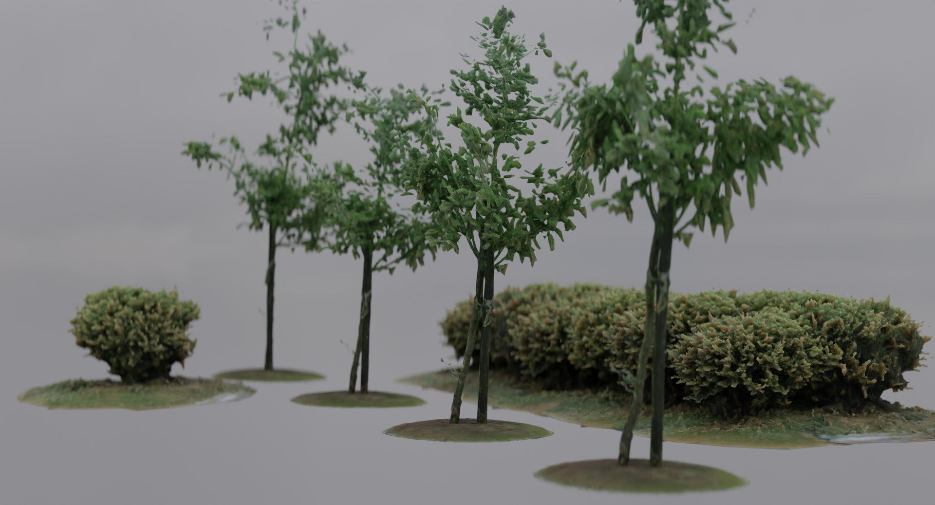 3D Vegetation Assets - Trees Bushes - TurboSquid 2093611