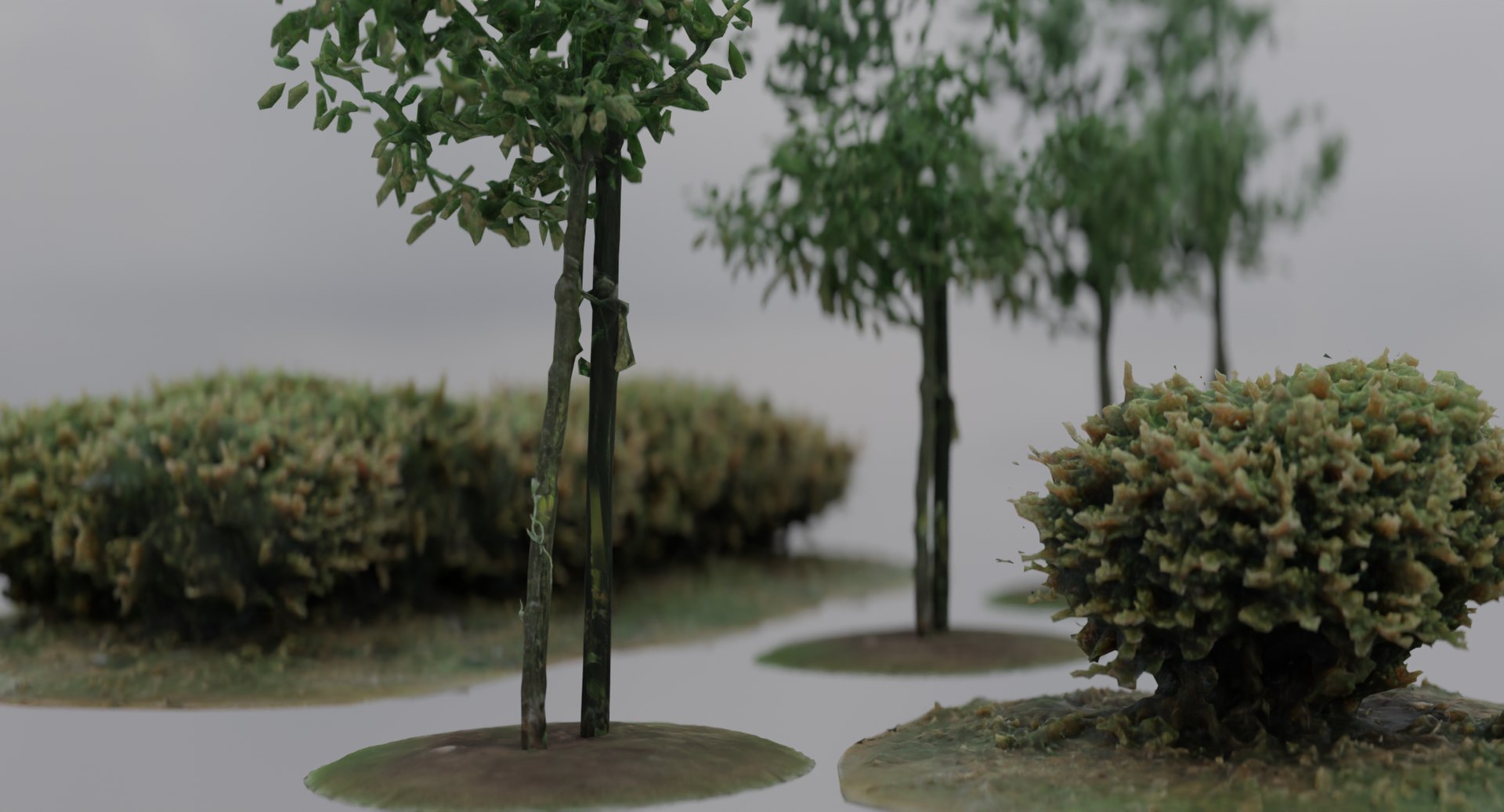 3D Vegetation Assets - Trees Bushes - TurboSquid 2093611