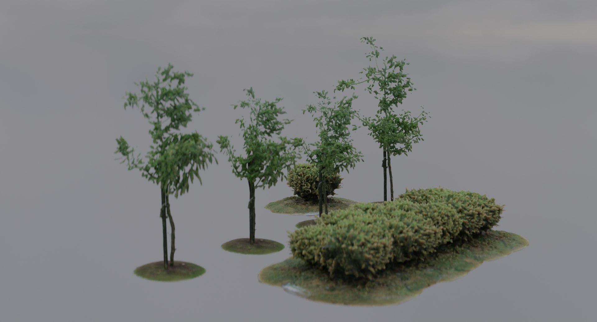 3D Vegetation Assets - Trees Bushes - TurboSquid 2093611