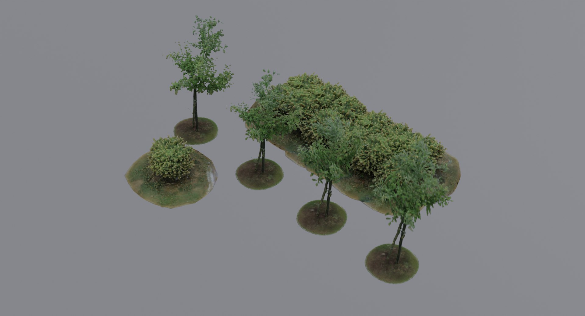3D Vegetation Assets - Trees Bushes - TurboSquid 2093611