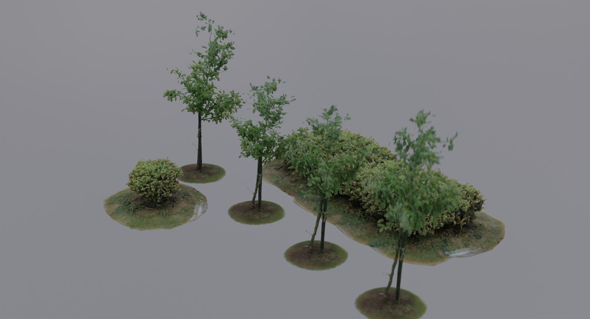 3D Vegetation Assets - Trees Bushes - TurboSquid 2093611