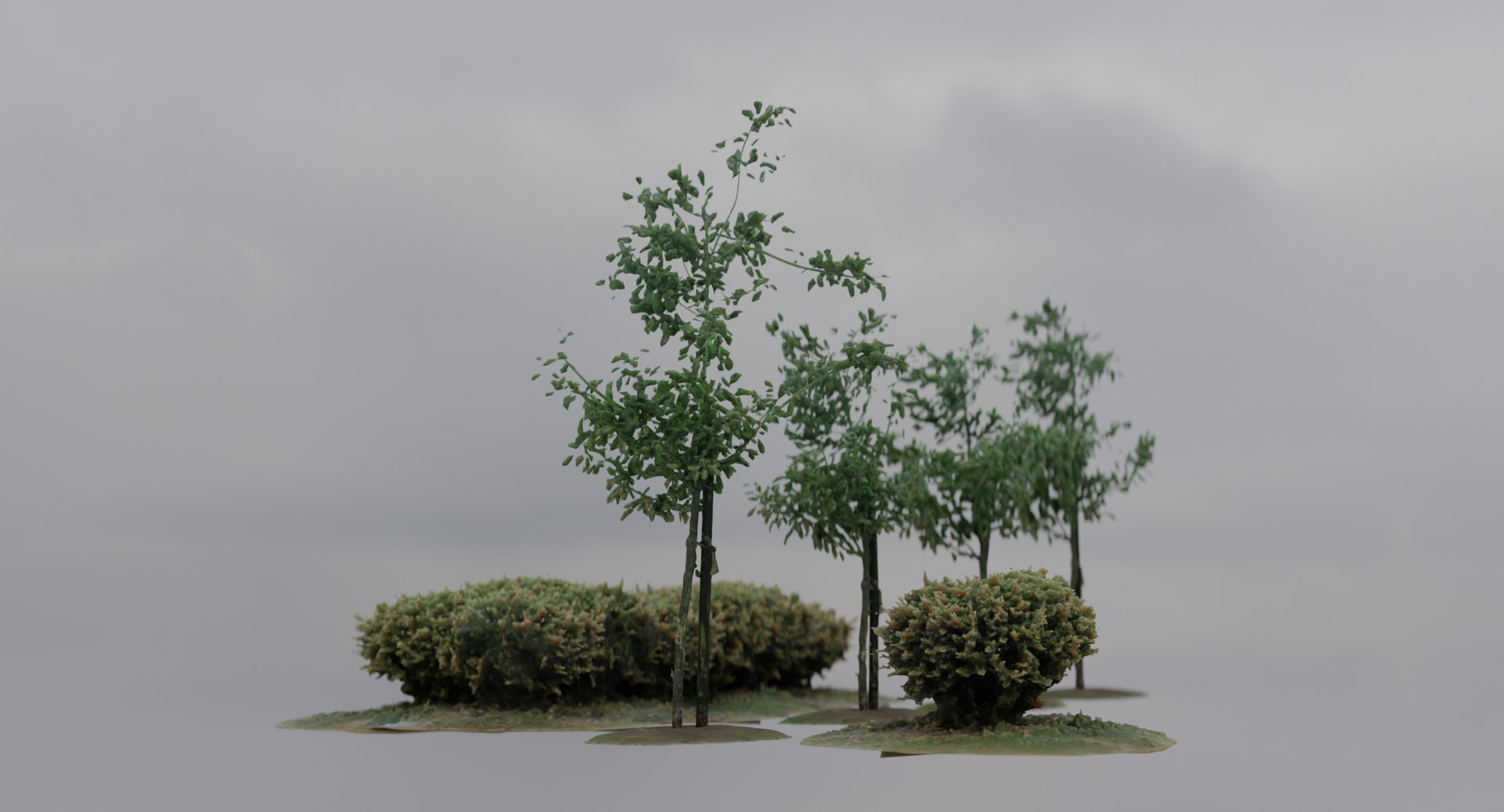 3D Vegetation Assets - Trees Bushes - TurboSquid 2093611