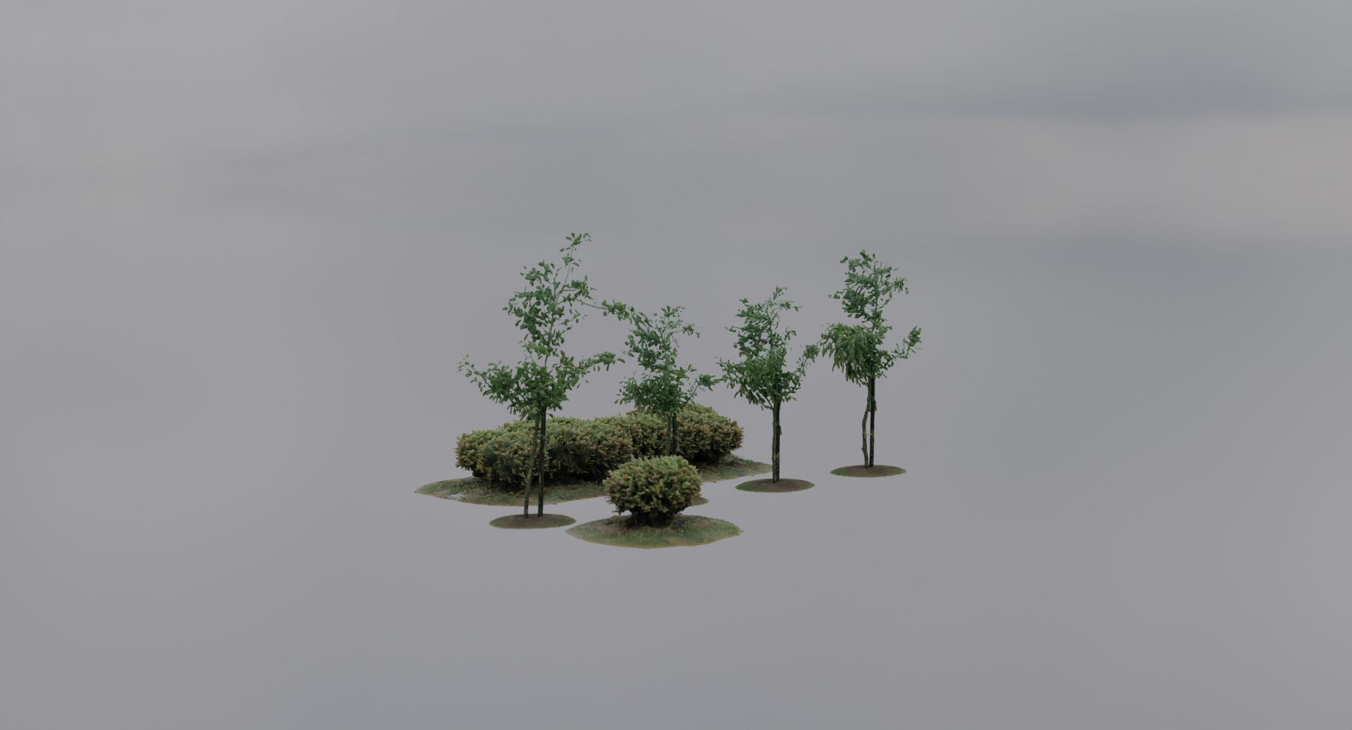 3D Vegetation Assets - Trees Bushes - TurboSquid 2093611