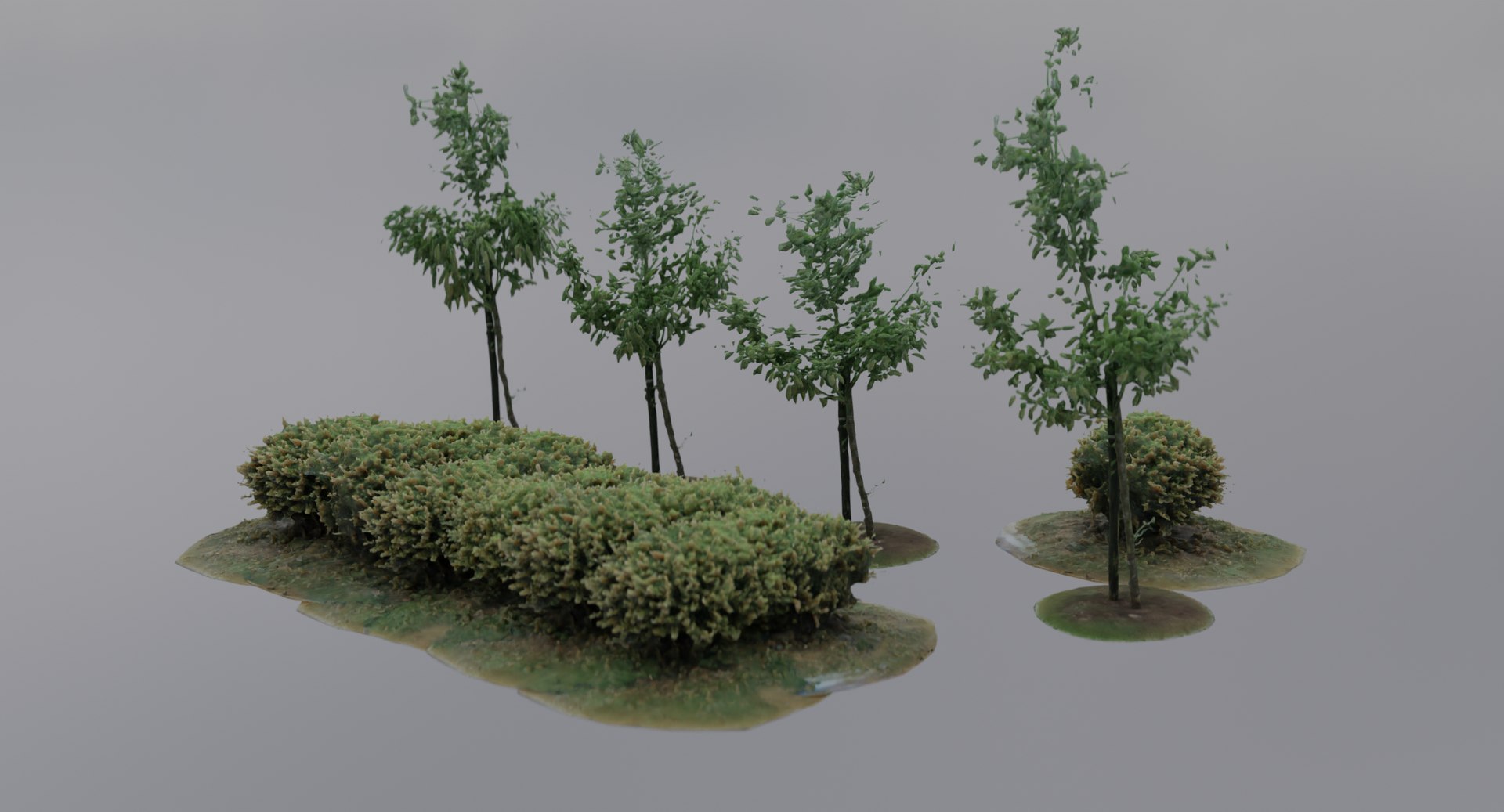 3D Vegetation Assets - Trees Bushes - TurboSquid 2093611