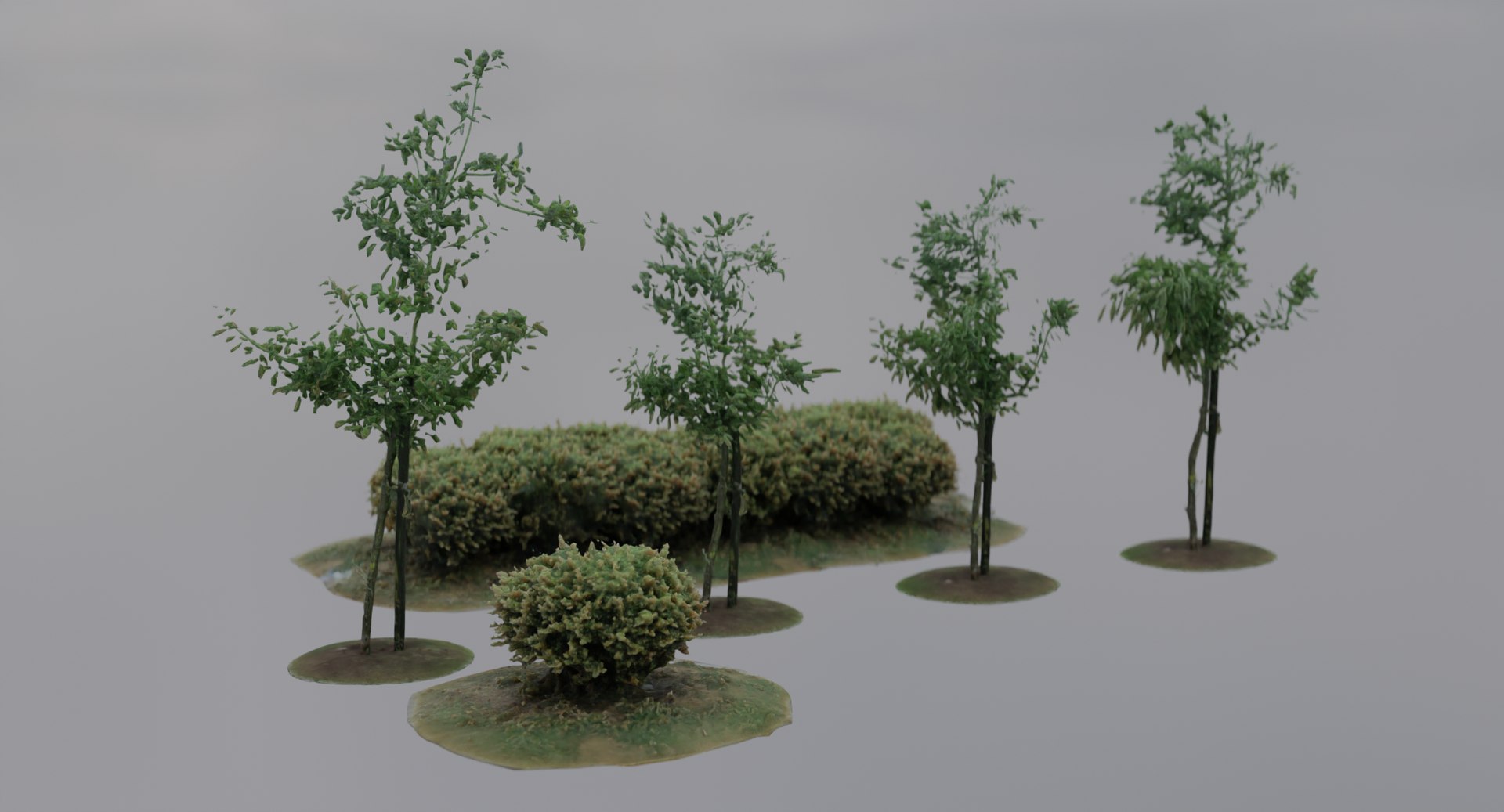 3D Vegetation Assets - Trees Bushes - TurboSquid 2093611