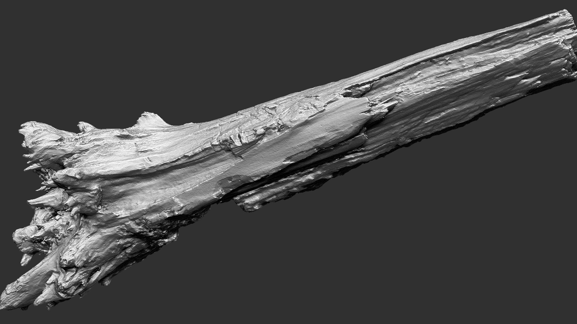 3D 3D Tree Trunk Zbrush Sculpt - TurboSquid 2128964