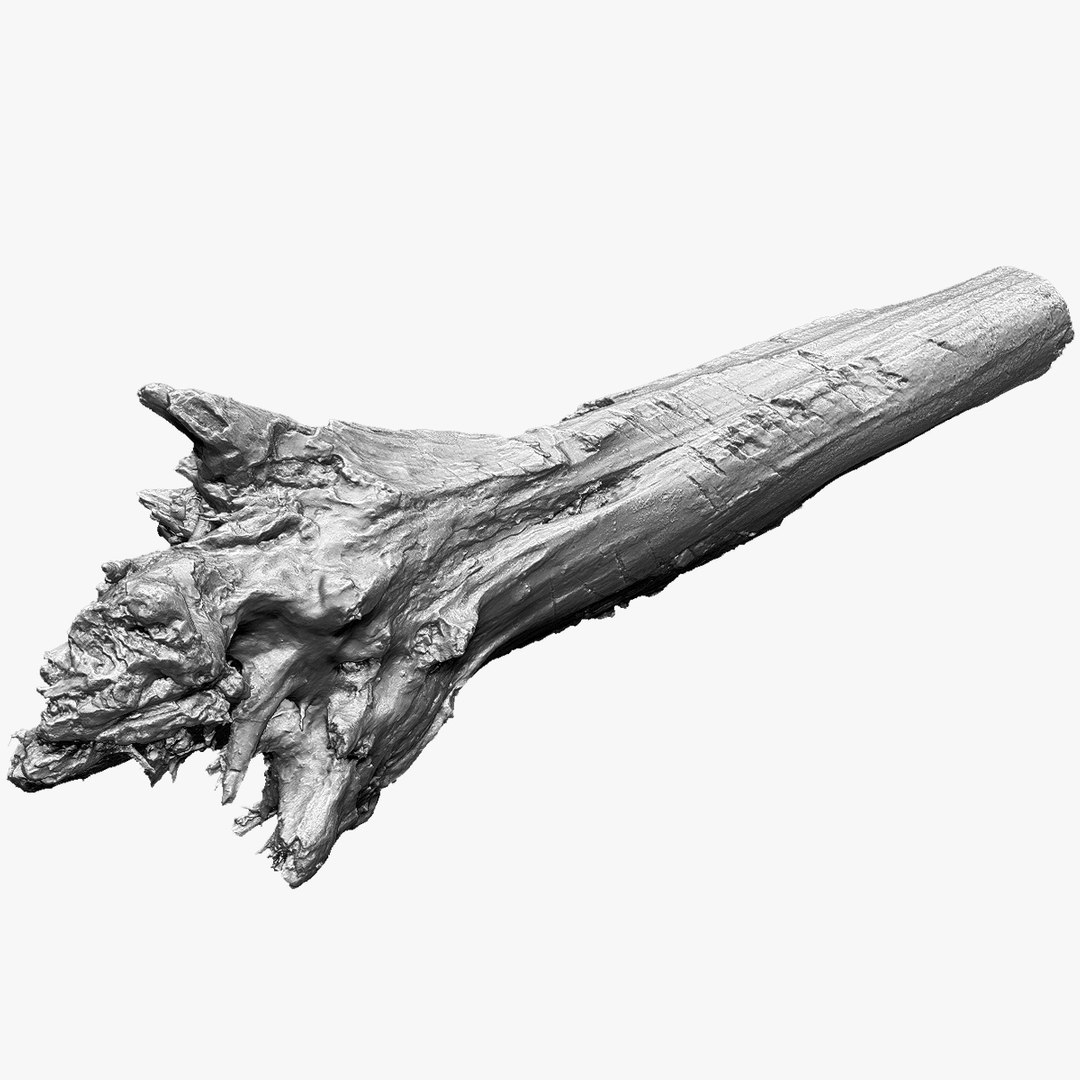3D 3D Tree Trunk Zbrush Sculpt - TurboSquid 2128964
