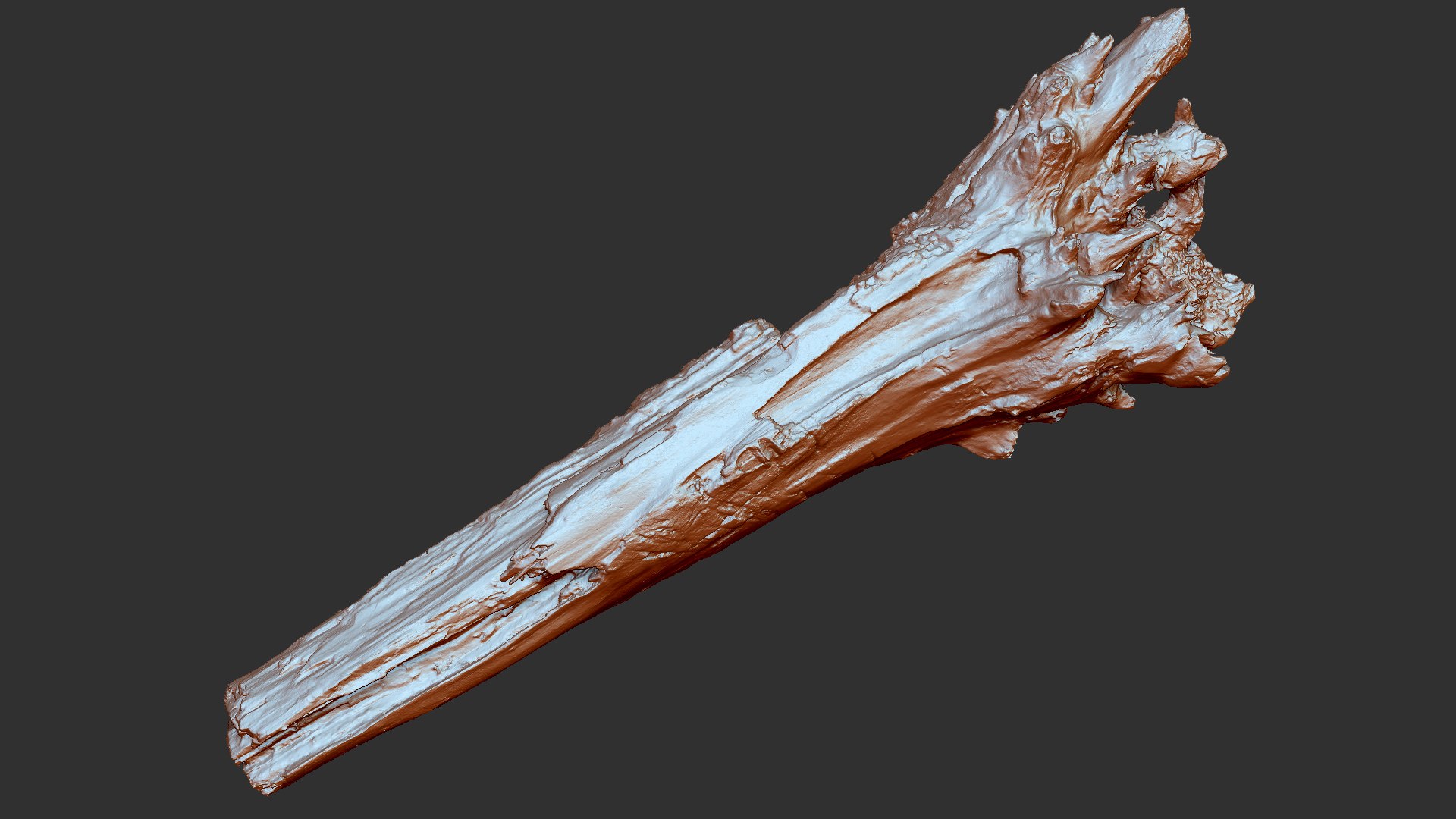 3D 3D Tree Trunk Zbrush Sculpt - TurboSquid 2128964
