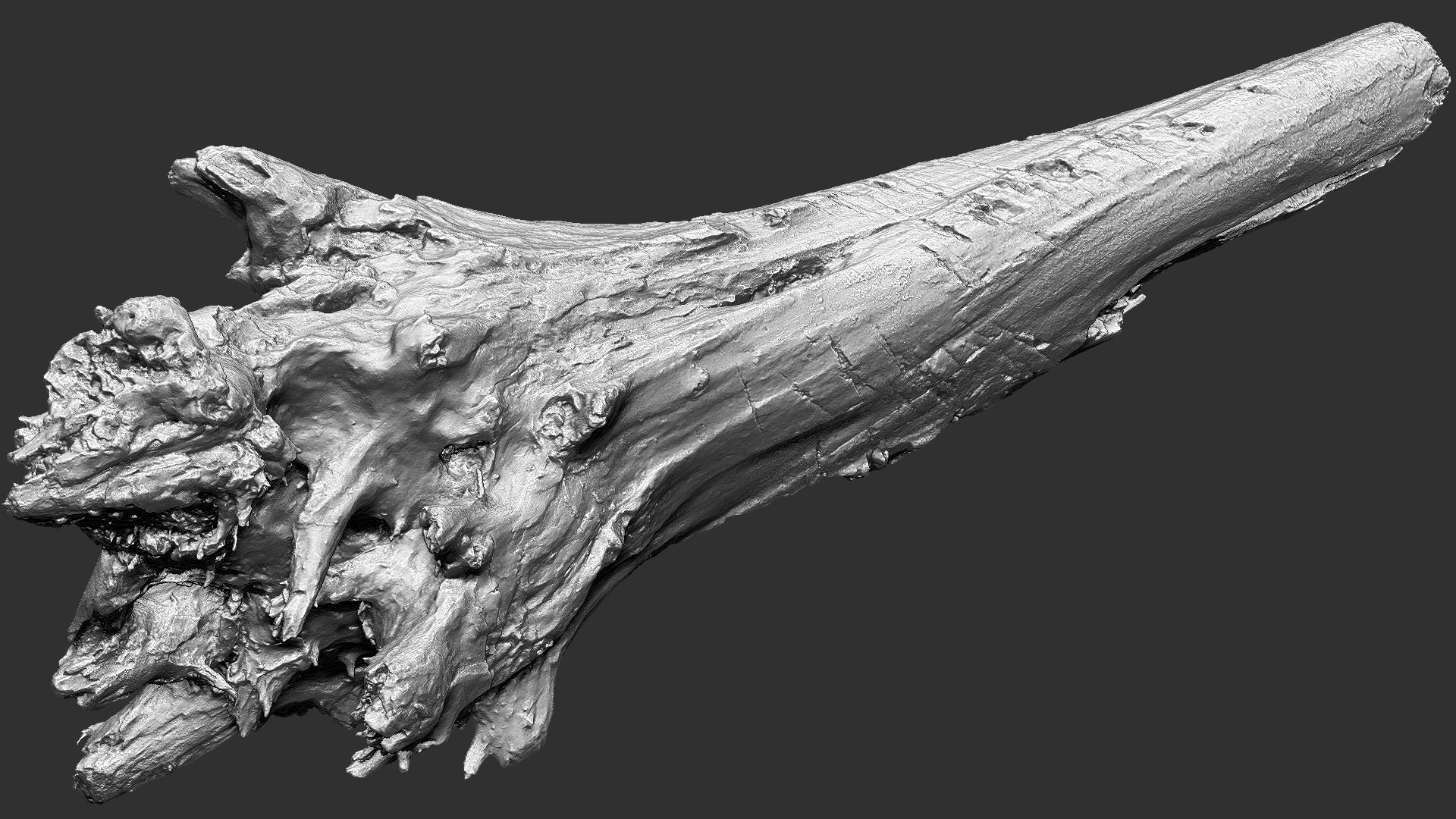 3D 3D Tree Trunk Zbrush Sculpt - TurboSquid 2128964