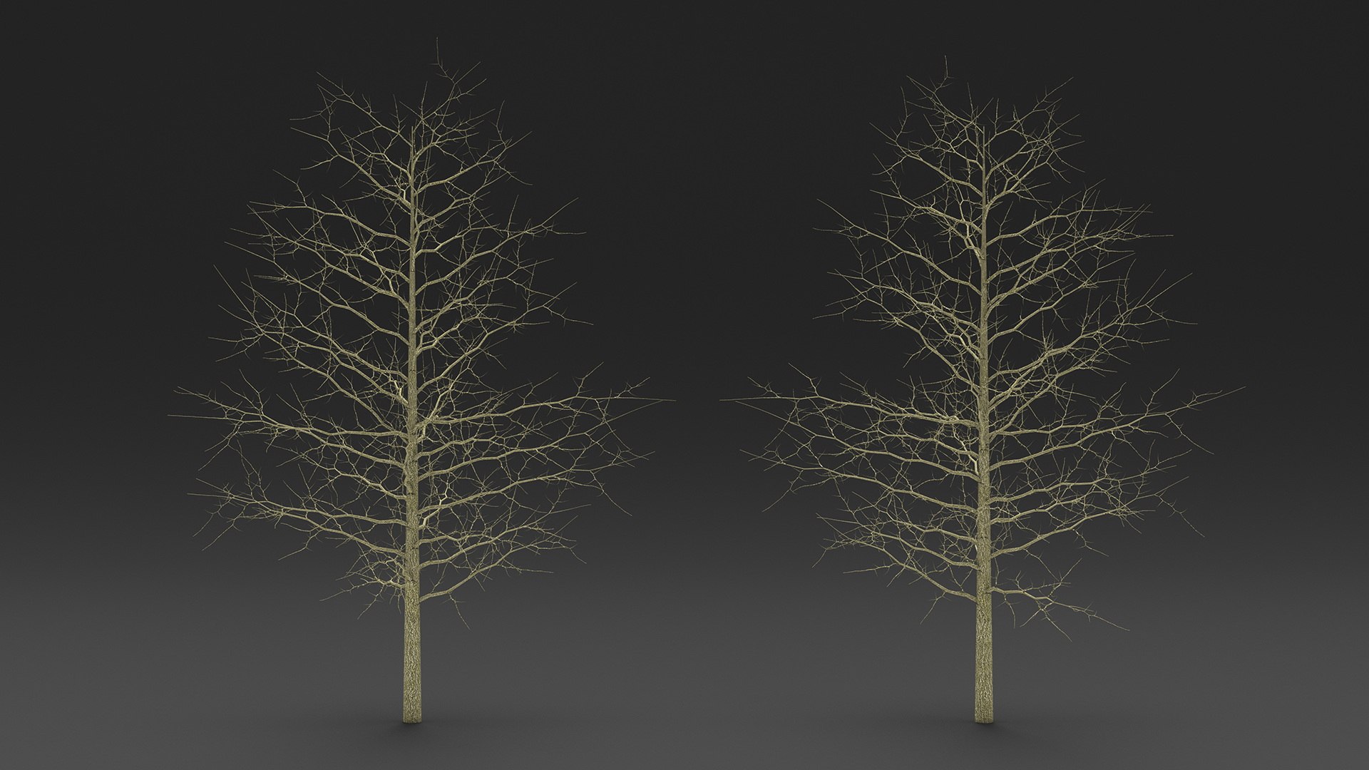 3D Model Winter Bare Oak Tree - TurboSquid 2229374