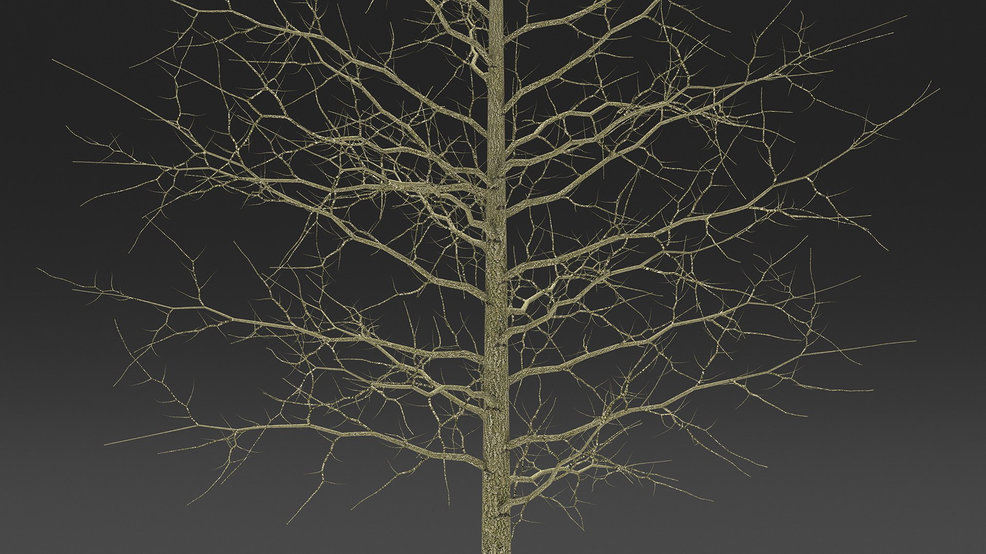 3D Model Winter Bare Oak Tree - TurboSquid 2229374