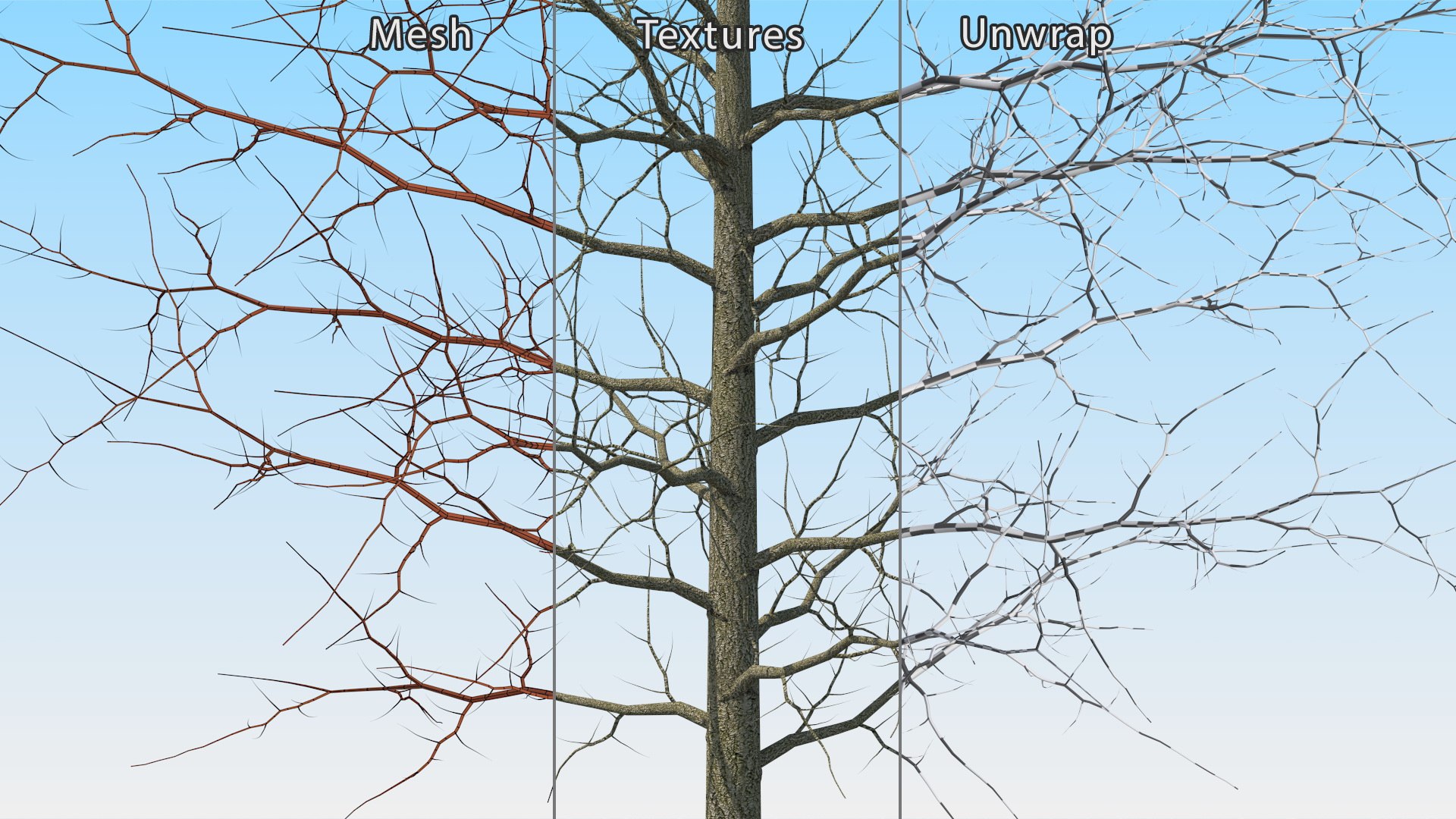 3D Model Winter Bare Oak Tree - TurboSquid 2229374