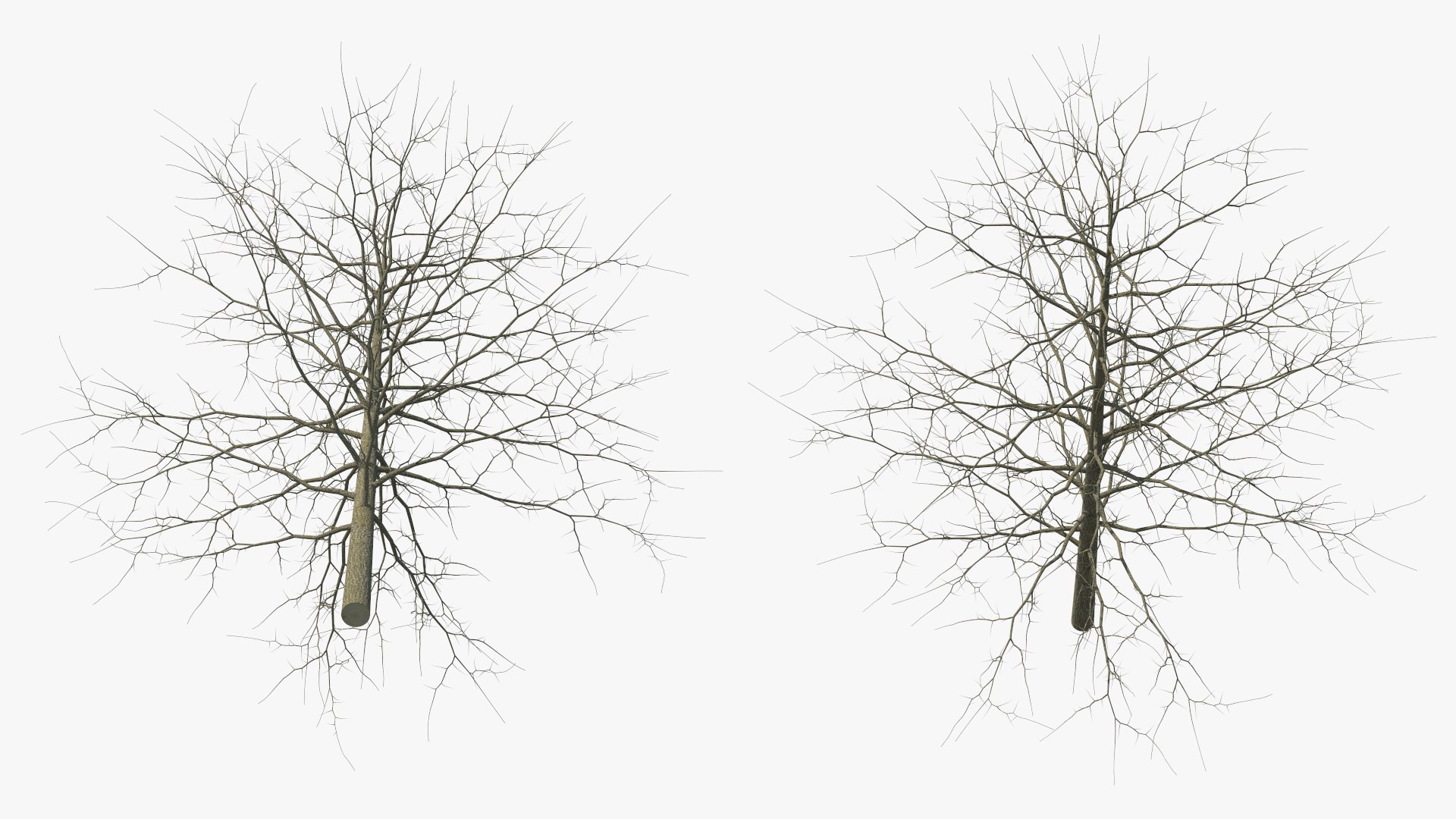 3D Model Winter Bare Oak Tree - TurboSquid 2229374