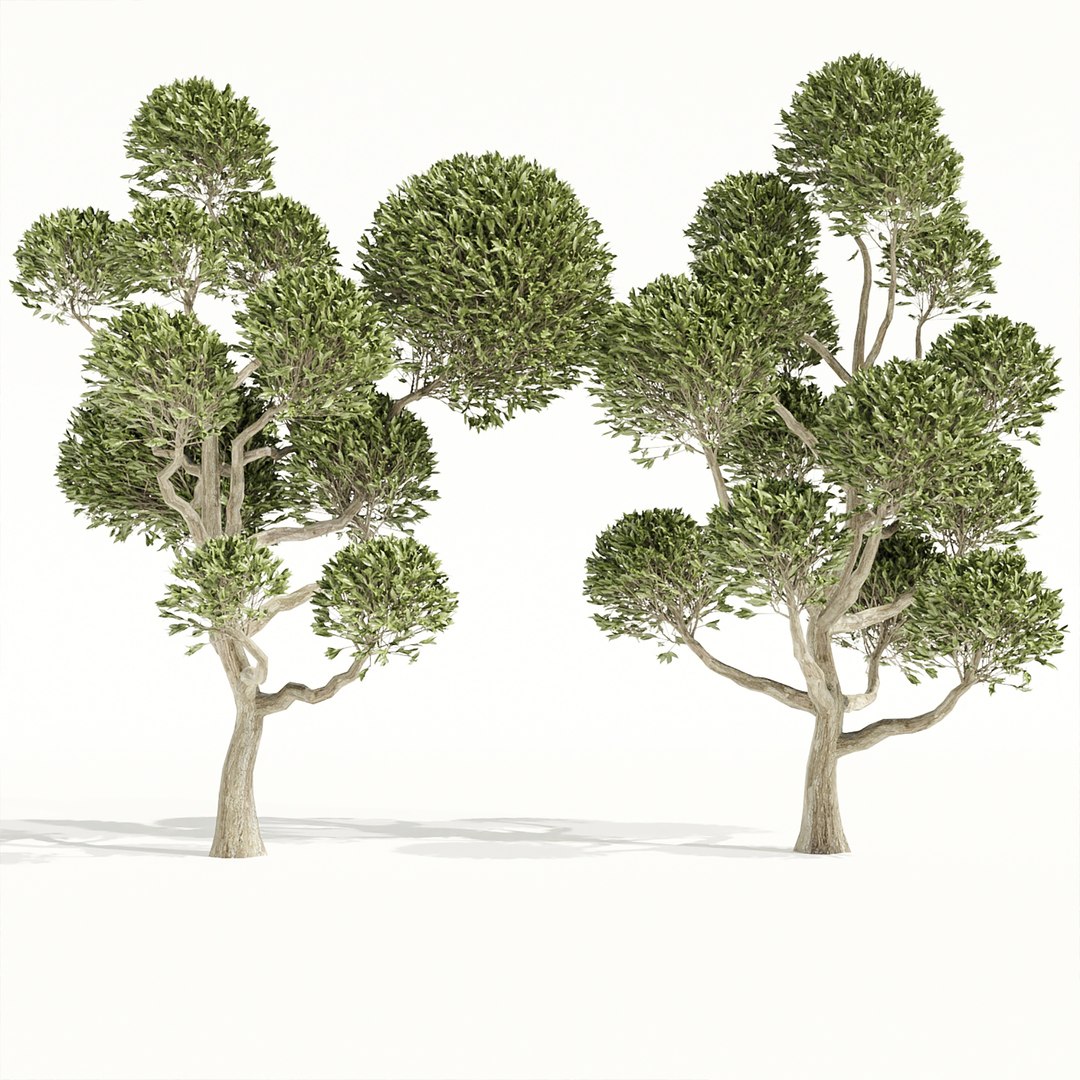 Collection tree vol1 3D model - TurboSquid 2059909