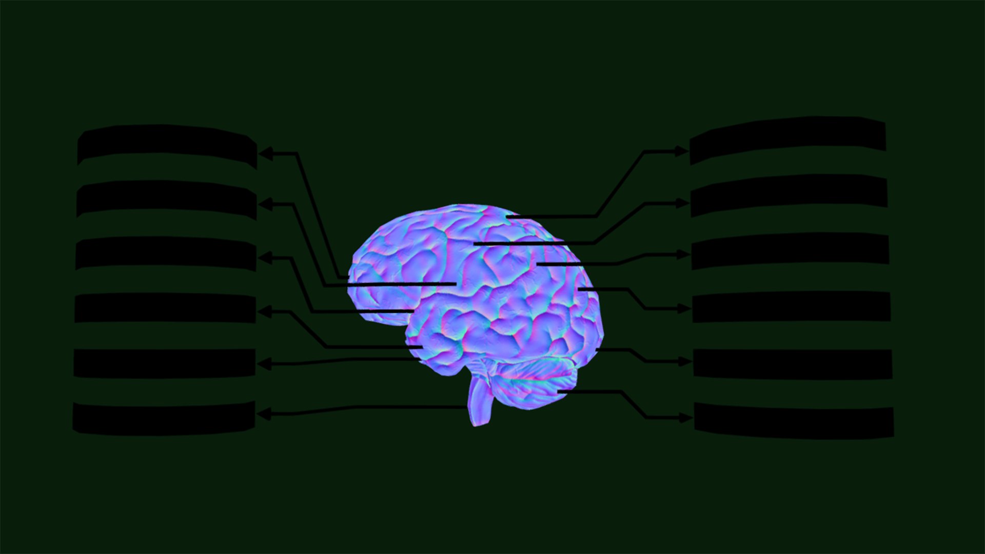 3D Model Brain - Labelled Diagram Of Human Brain - TurboSquid 2342686