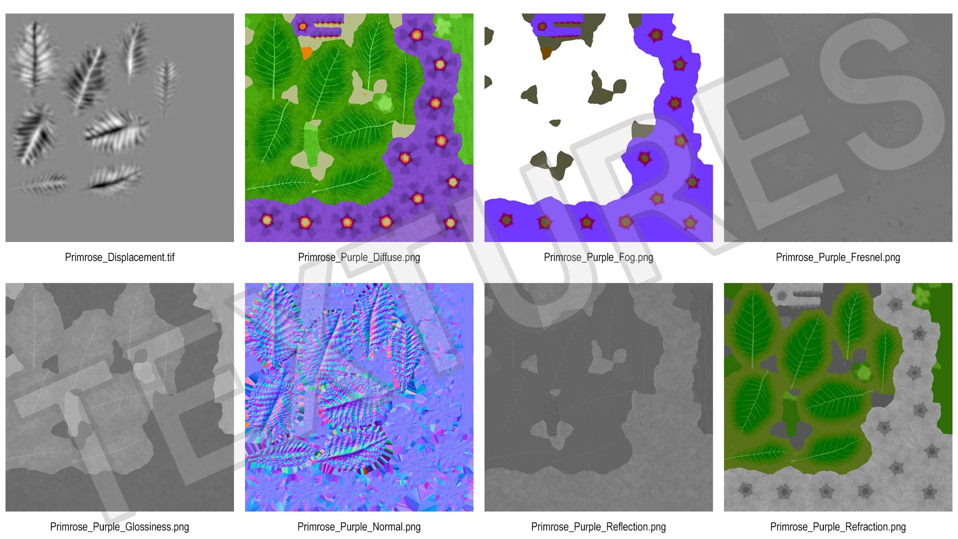 3D Primula Vulgaris In Pot Purple Model - TurboSquid 2068461