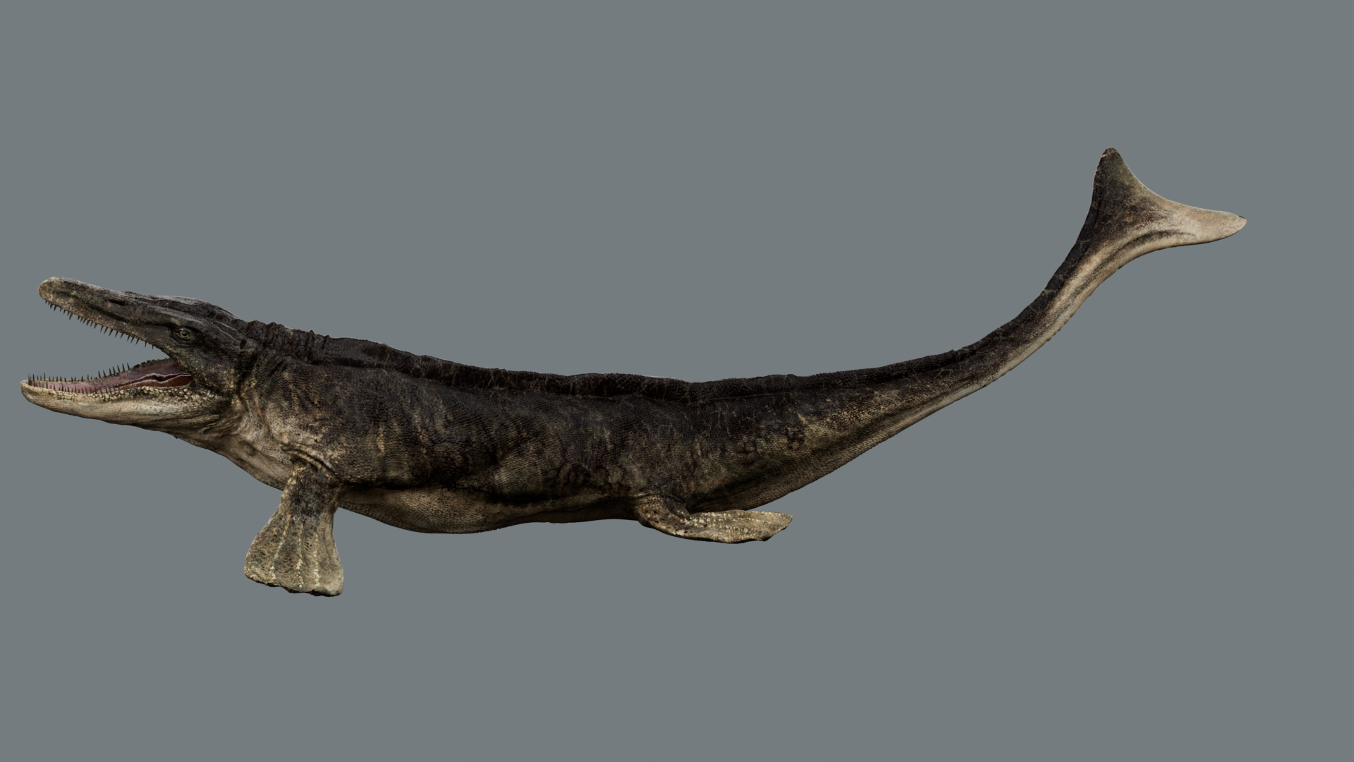 Tylosaurus Rigged 3D 3D Model - TurboSquid 2478692
