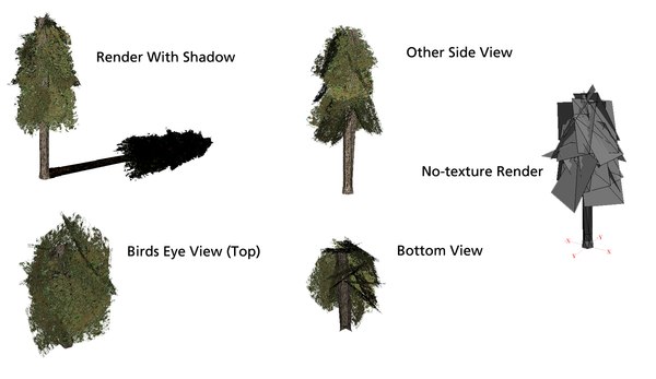 free pine tree 3d model