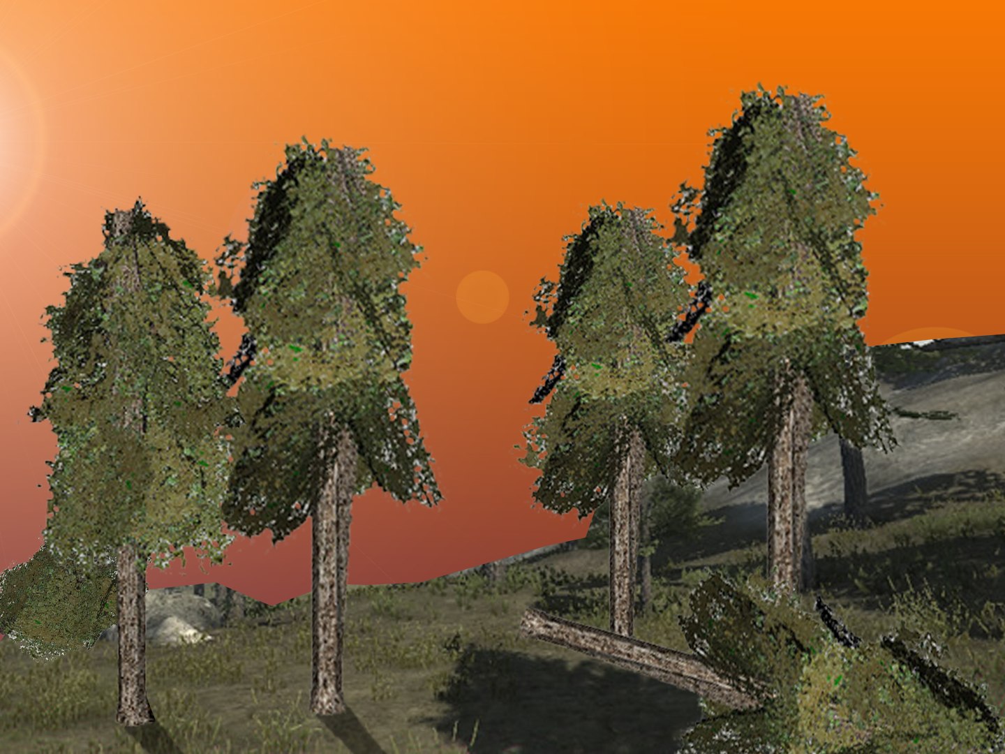 Free Pine Tree 3d Model