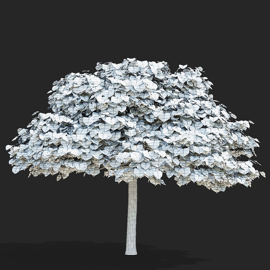 3D Model Catalpa Bignonioides Nana Trees - TurboSquid 2058621