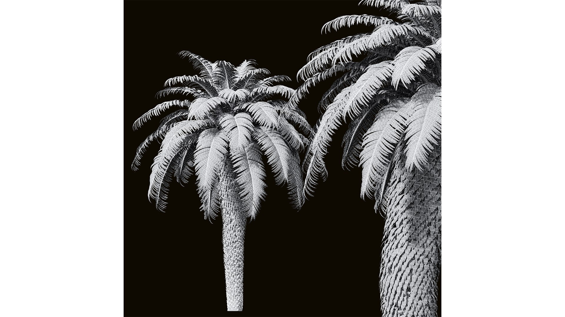 New Tree High Detail Cycas Revoluta Palmfarn Fruit Tree 3D Model ...