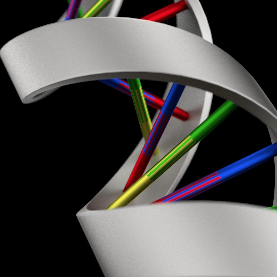 Dna 3d C4d