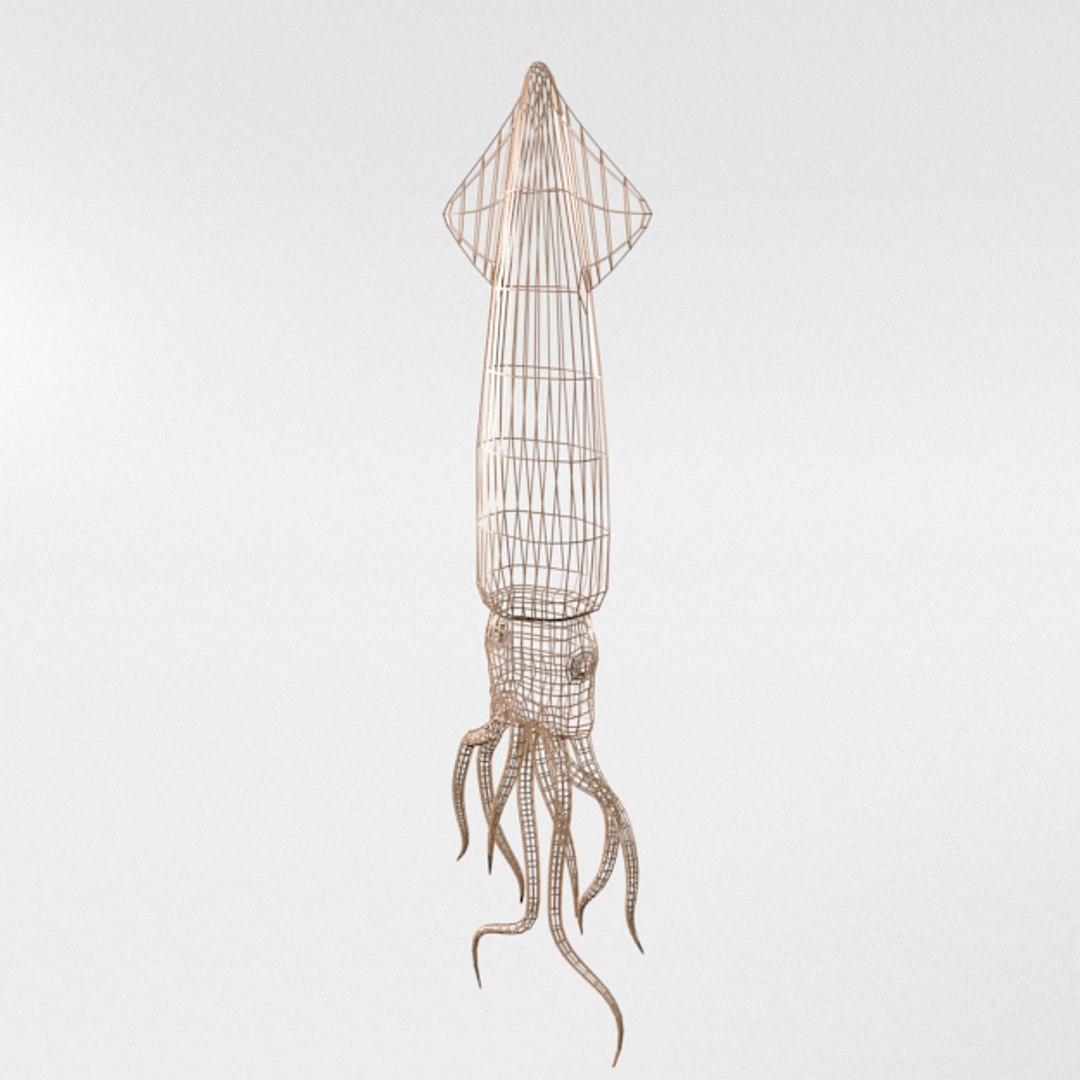 3D Squid - TurboSquid 1316813