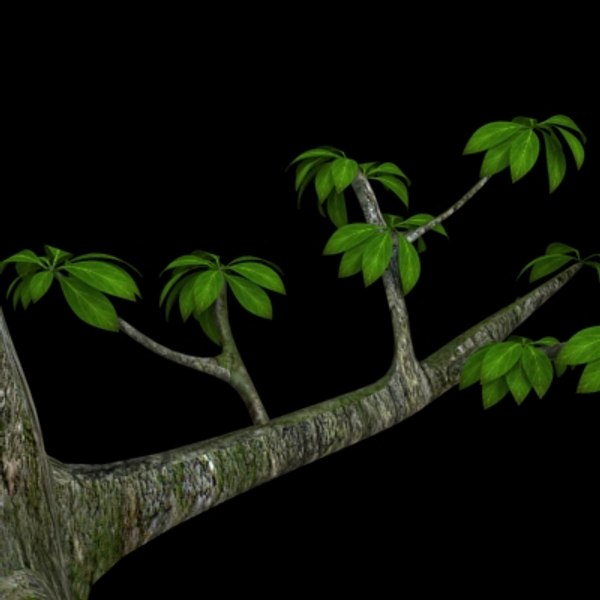 Leaf 3D Models for Download | TurboSquid