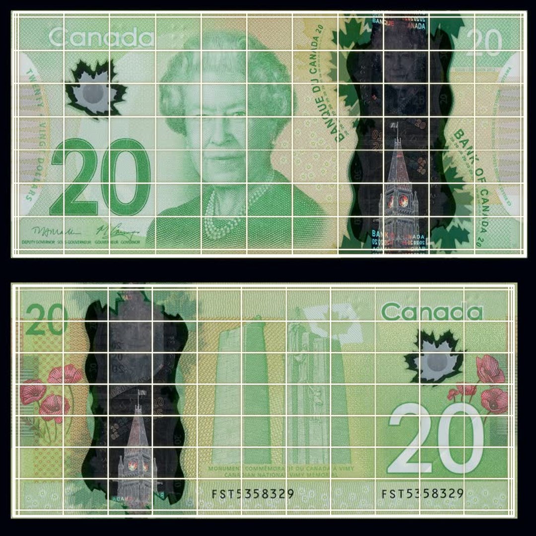 Canada 20 Dollar Falling Notes 3D Model - TurboSquid 2506498