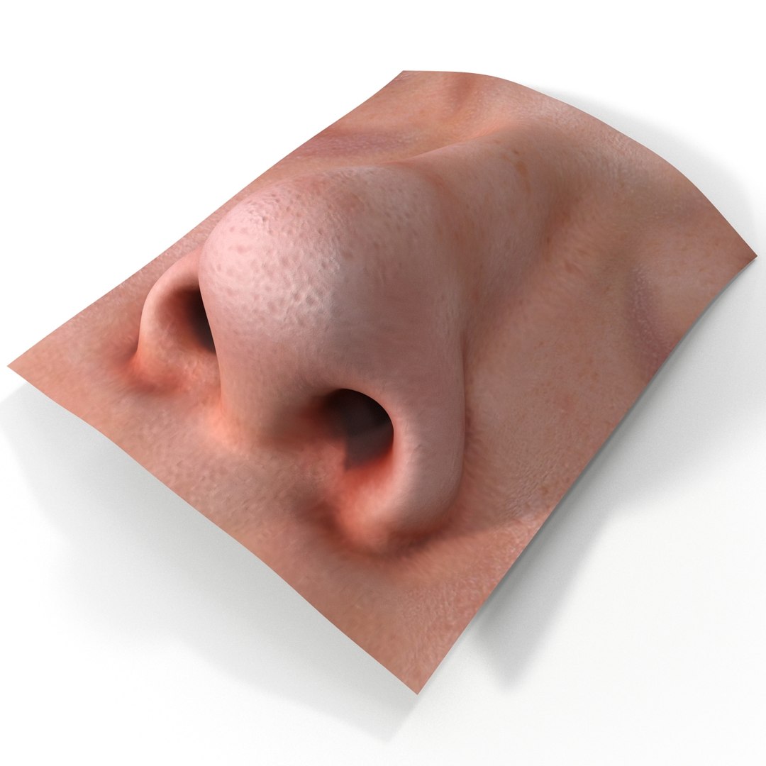 3d nose model