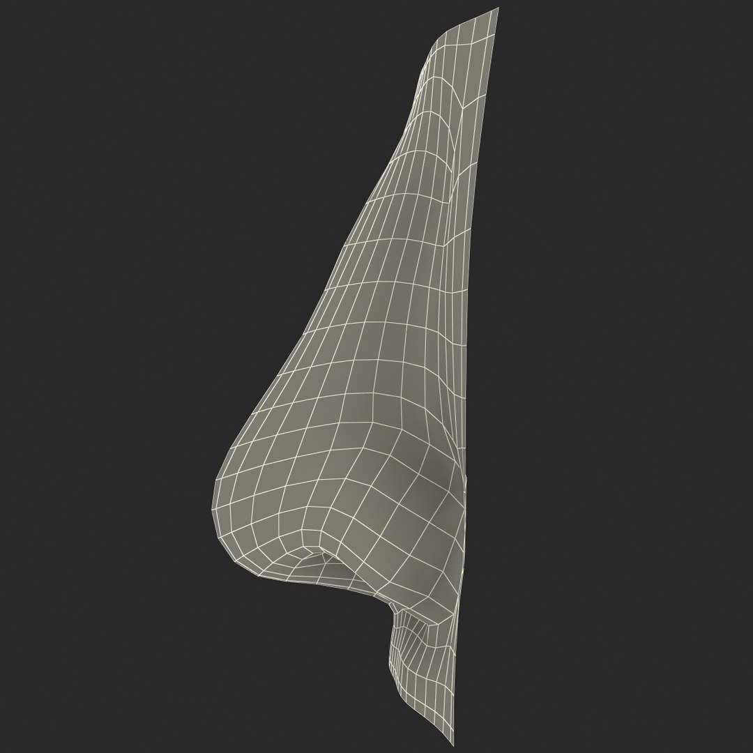 3d nose model