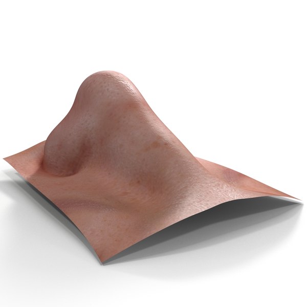 3d nose model