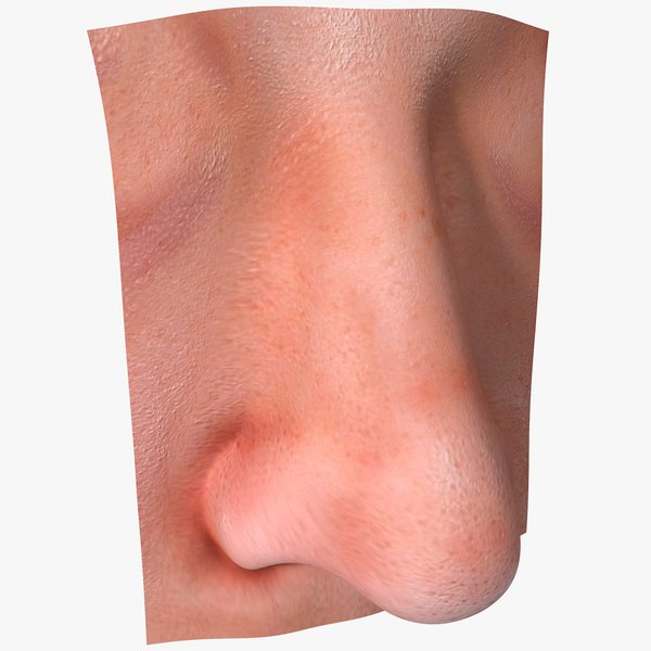 modelo 3d Nariz - TurboSquid 802905