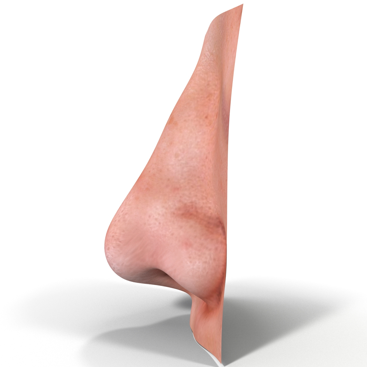 3d nose model