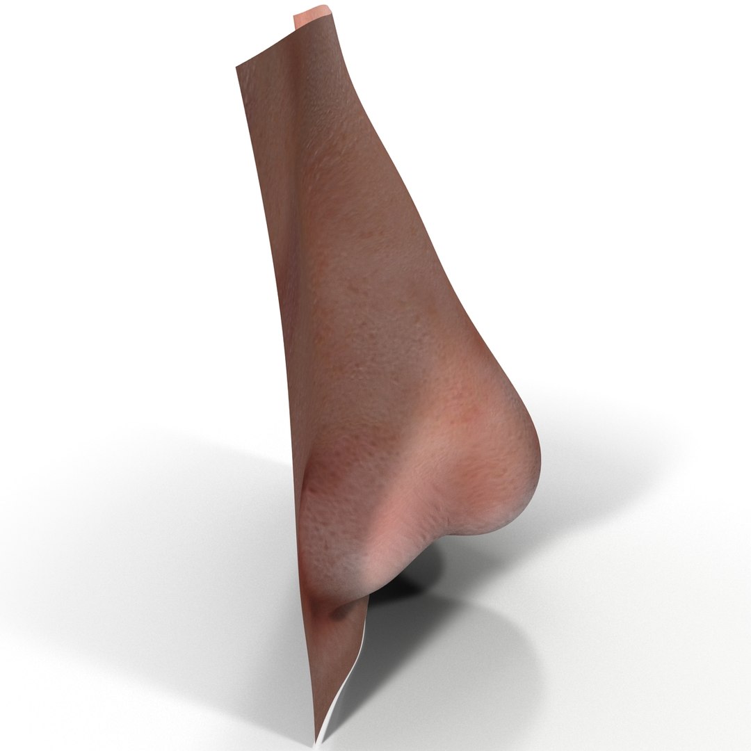 3d Nose Model
