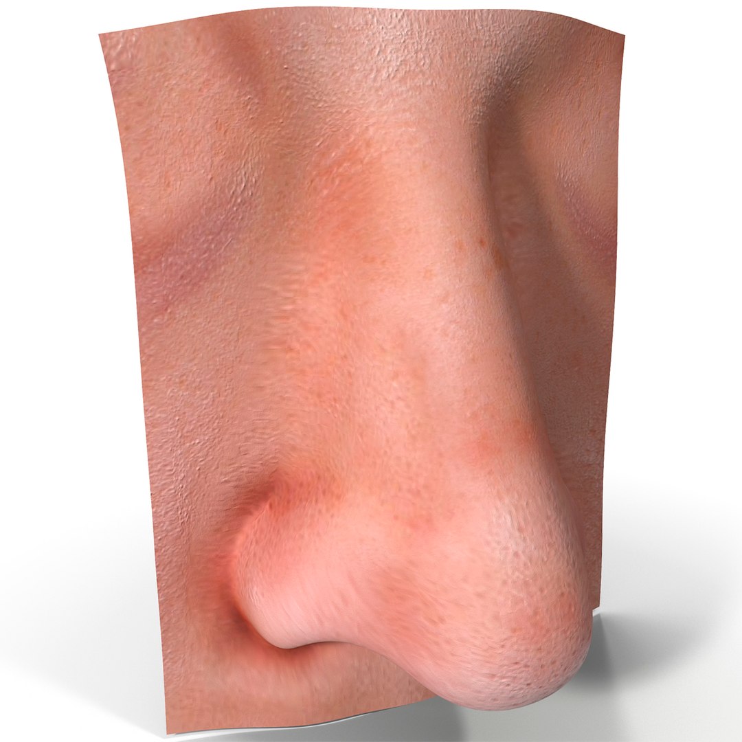 3d nose model