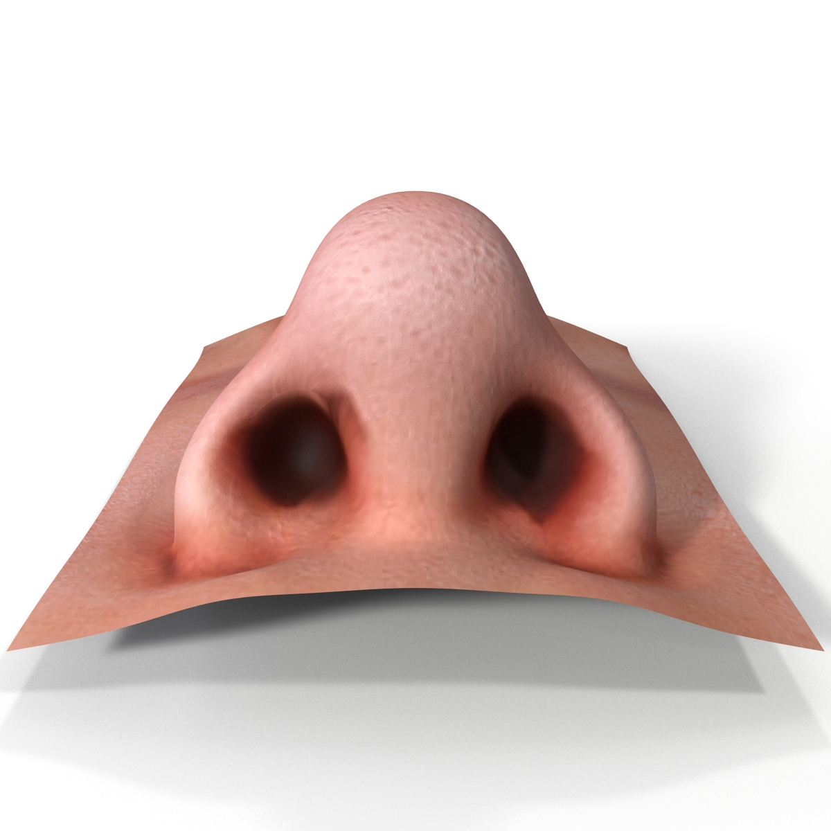 3d nose model
