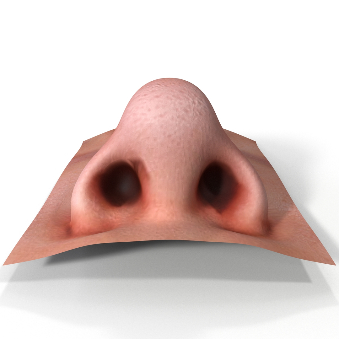 3d nose model